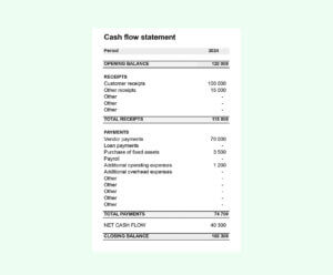 Cash flow statement format | India